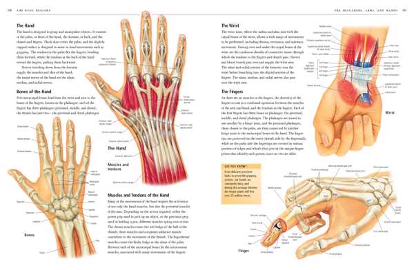 The Human Body Atlas by National Geographic | Quarto At A Glance | The ...