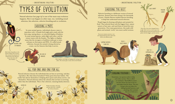 Amazing Evolution by Anna Claybourne | Quarto At A Glance | The Quarto ...