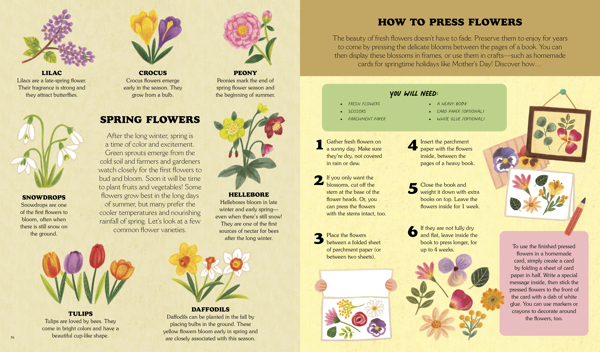 Little Homesteader: A Spring Treasury of Recipes, Crafts, and Wisdom by ...